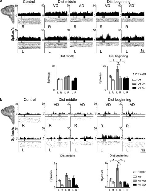 Creation Of Spatially Tuned Delay Activity Rasters And Histograms And