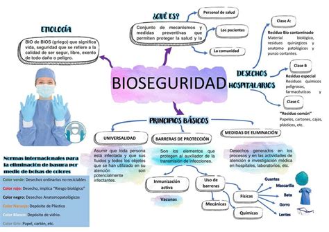 Bioseguridad Maryuri Lisbeth Udocz