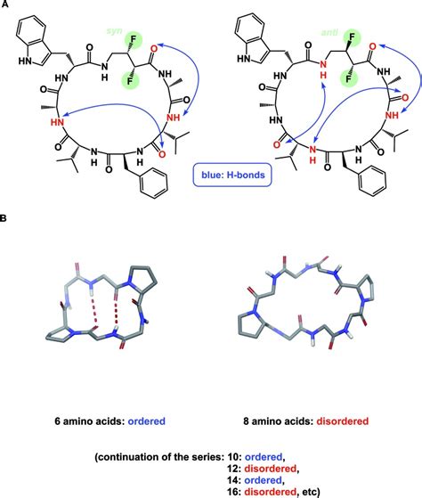 Macrocycles Lessons From The Distant Past Recent Developments And Future Directions PMC