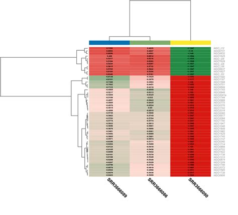 Pairwise Differential Expression Analysis Without Replicates Omicsbox User Manual
