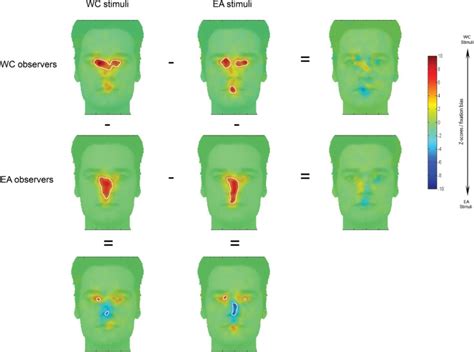 Fixation Maps Based On The Fixation Durations For Each Culture Of The