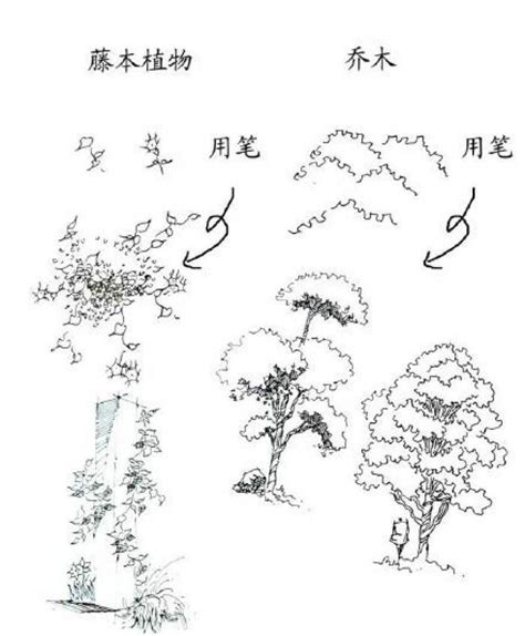 Landscape Architecture Drawing Landscape Sketch Landscape Drawings