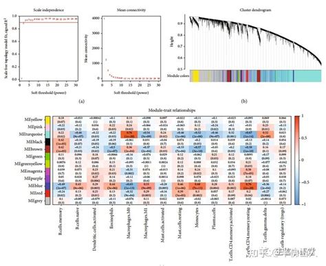 最新7 3分非肿瘤生信，热点基因集 免疫浸润 Wgcna 调控网络 单细胞 实验验证，值得收藏！ 知乎