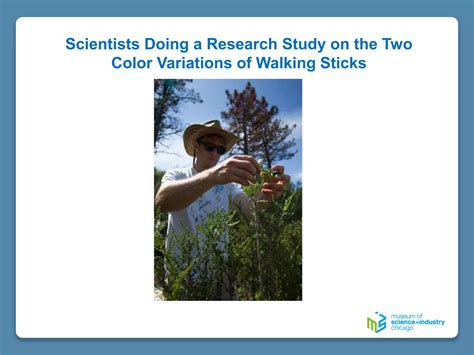 Form Fits Function Pptx