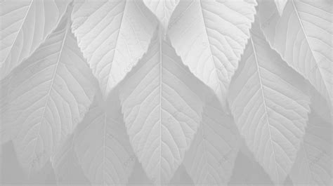 조명된 녹색 잎 패턴 질감 배경 식물 질감 야자잎 정글 잎 Png 일러스트 및 이미지 에 대한 무료 다운로드 Pngtree