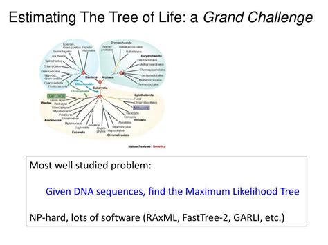 Ppt From Gene Trees To Species Trees Powerpoint Presentation Free