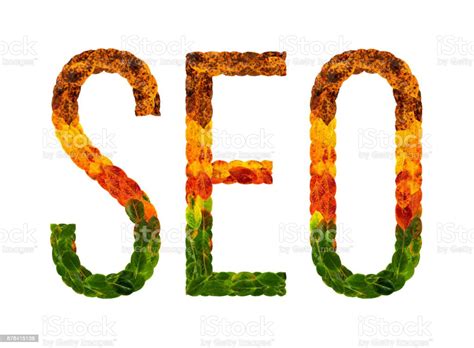 단어 Seo와 함께 화이트 고립 된 배경 색의 인쇄 하 고 창조적인 그림에 대 한 배너 단풍 잎 0명에 대한 스톡 사진 및 기타 이미지 Istock