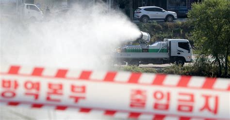 조류인플루엔자 막기위한 방역