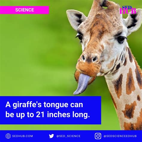 Sed Science Education Posted On Linkedin Sed Science Education Posted On Linkedin