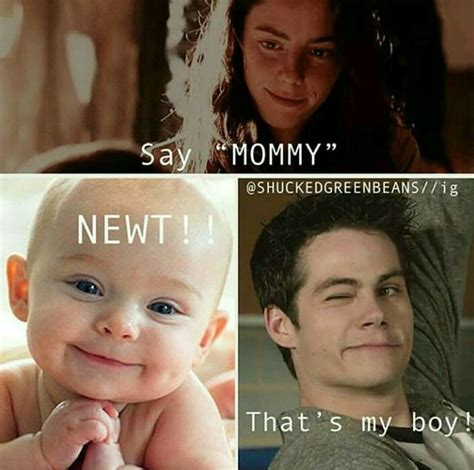 Pin On The Maze Runner Maze Runner Funny Maze Runner Movie Maze Runner