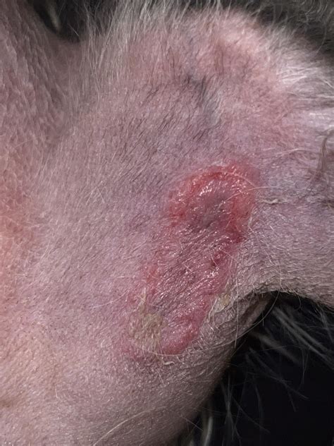 Just Noticed My Dof Licking This Spot R Vet