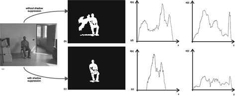 comparison of the results achieved by preserving or removing shadows