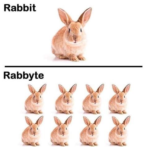 97 programmer humor ideas in 2025 programmer humor humor programming humor