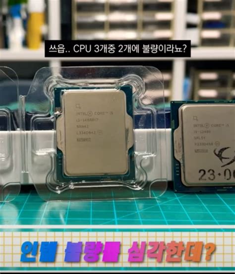 인텔 Cpu 13 14세대 불량 난리 났음 유머 움짤 이슈 에펨코리아