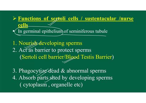 Human Reproductionpdf