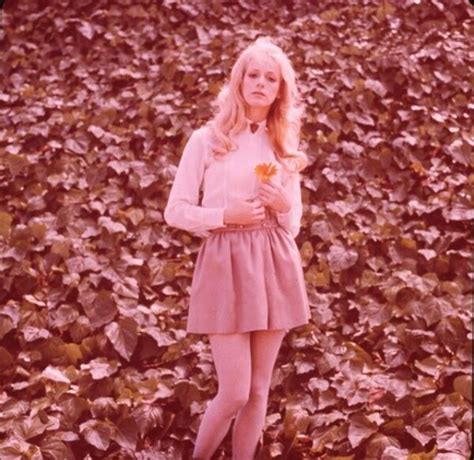 30 Gorgeous Photos Of Sondra Locke In The 1960s And 70s ~ Vintage Everyday