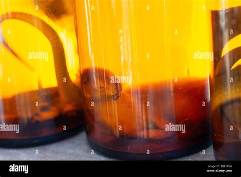 Why Is Formaldehyde Used In Preservation At Joseph Dudgeon Blog