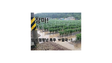 엄청난 폭우로 인해 결국 침수 동네가 난리가 아니네요 ㅠ Youtube