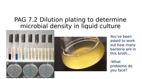 Logarithmic Bacterial Growth Teaching Resources