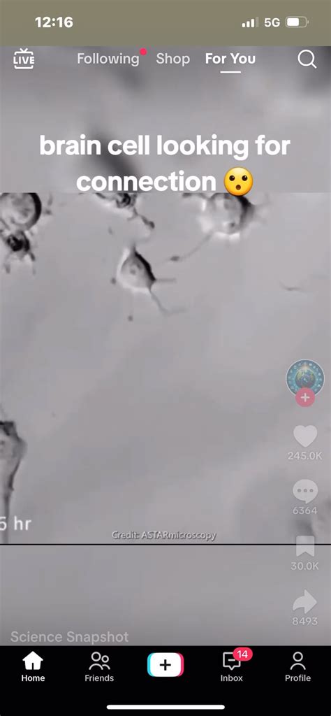 Inside A Libs Head Rlibsofreddit