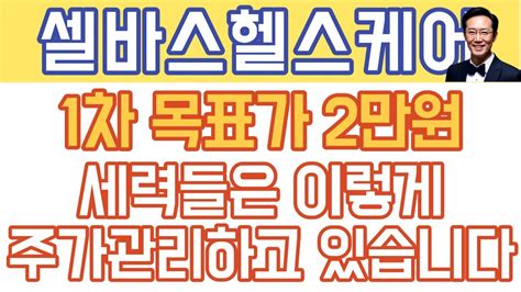 셀바스헬스케어 주가전망 1차 목표가 2만원 세력들은 현재 이렇게 주가 관리하고 있습니다 Youtube