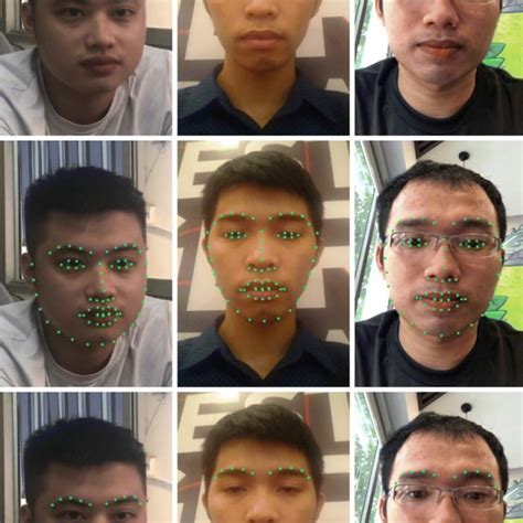 Localization Of Landmark Points For Input Images Top On The Whole