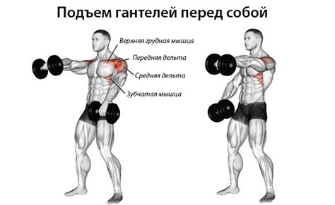 Качать плечи гантелями Как накачать плечи гантелями Лучшие упражнения