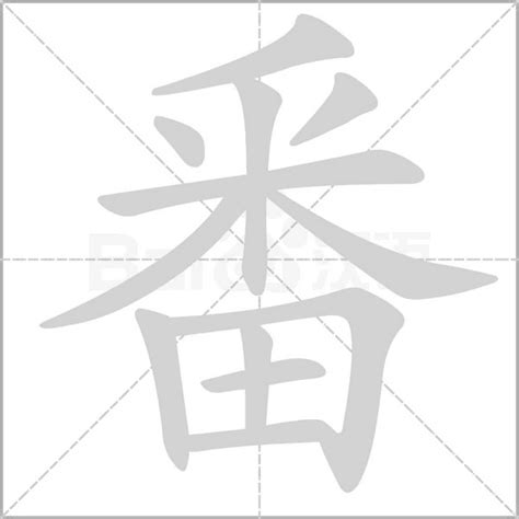 番字笔顺笔画顺序番的笔顺怎么写正确番字怎样写好看番字拼音部首字帖汉字笔顺查询网
