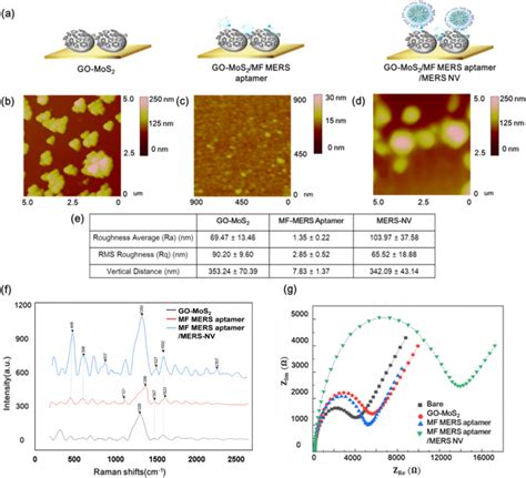 Fabrication Of Mers Nanovesicle Biosensor Composed Of Multi Functional