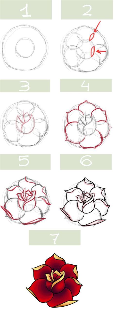 Red Rose Drawing Step Step At Explore Collection
