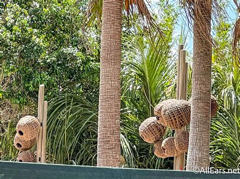 Photos See The New Moana Themed Lighting And Painted Rocks In Epcot