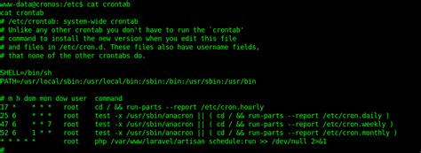Laravel Schedule Task Crontab VK Security