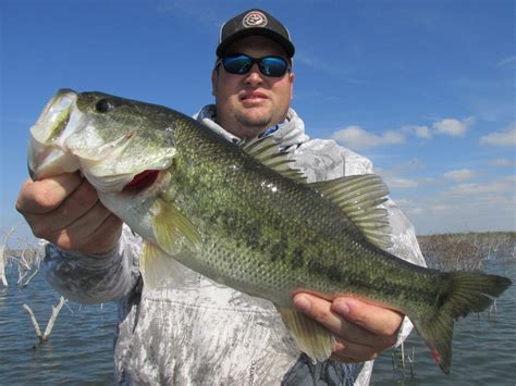 Texas Fishing Classifieds