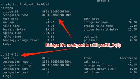 The Spinning Tree Protocol Hechaos Blog