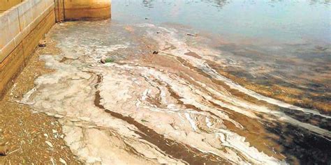 Industries Discharge Effluents Into Periyar Activists Protest