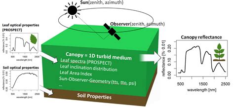 Github Valpamp Progeosail Python Bindings For The Prosail Canopy Reflectance Model
