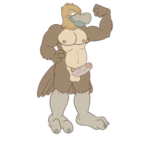 Rule Boy Toes Accipitrid Accipitriform Alpha Channel