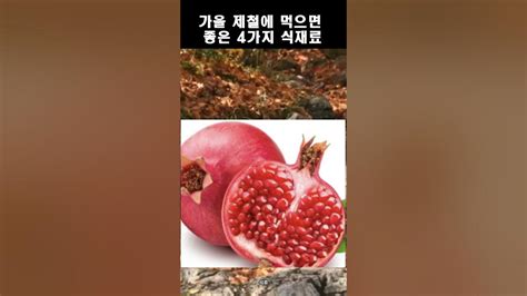 가을제철식재료 4가지음식 호박계피고구마석류 면역력 올리고 몸도 편안하게”정말 좋은 가을 먹거리들 Youtube