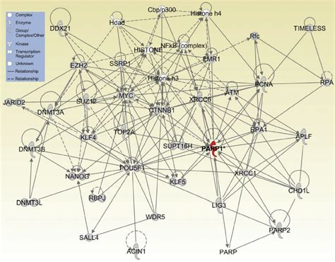 A Protein Interaction Network In Nuclear Reprogramming And Pluripotency