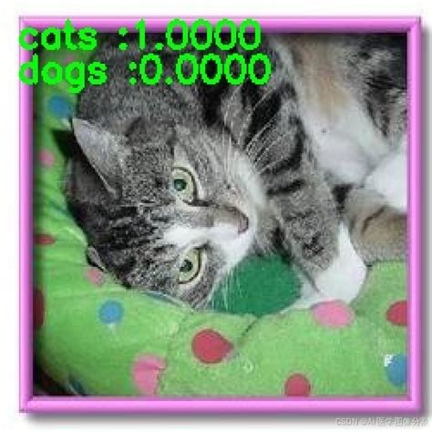 第一章：基于resnet网络【系列】多类别图像识别、迁移学习：猫狗分类实战resnet多分类 Csdn博客