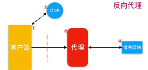 Nginx反向代理 jilei 博客园
