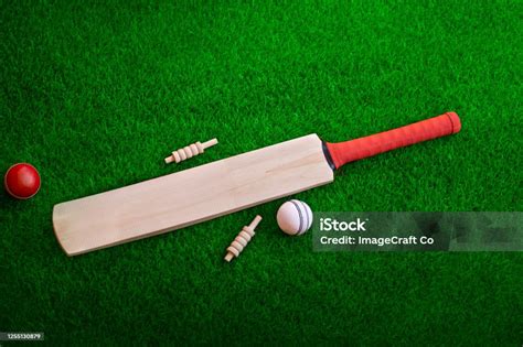 크리켓 그라운드 박쥐와 공 보석 잔디에 배치 크리켓 게임 배경 아시아 인도 스포츠 크리켓에 대한 스톡 사진 및 기타 이미지 스포츠 크리켓 0명 Championship