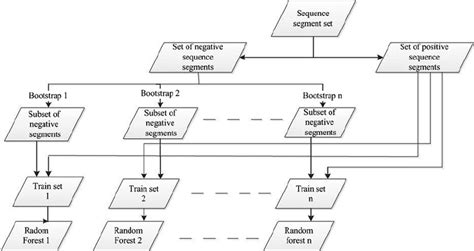 The Classification Model Based On The Random Forest And Data Bootstrap