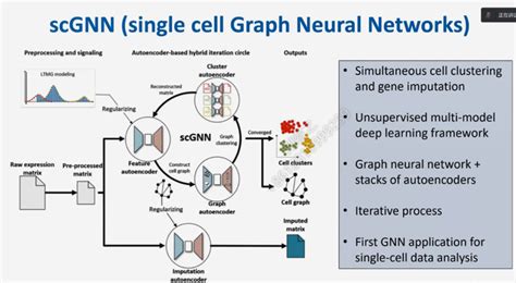 Sigmai第22讲：“深度学习在单细胞组学数据分析中的应用”要点总结 智源社区