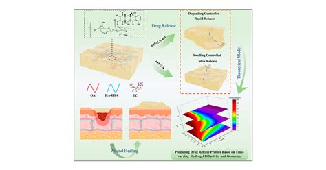 Novel Injectable Self Healing Long Effective Bacteriostatic And