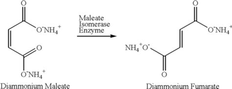 Enzyme Assays Karteikarten Quizlet