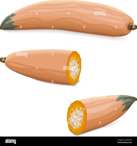 Whole And Chopped Georgia Candy Roaster Squash Winter Squash Cucurbita Maxima Fruits And