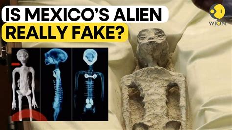 Mexicos Non Human Alien Like” Beings Fake Can Ufologist Jaime Maussan Be Trusted