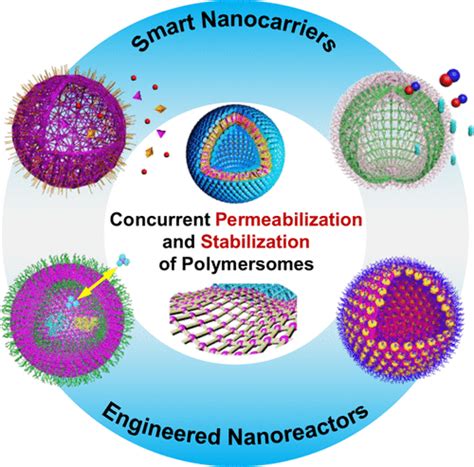 Overcoming The Dilemma Of Permeability And Stability Of Polymersomes Through Traceless Cross