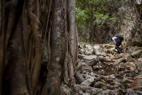 Meet Mt Grevilles Most Challenging Ascent The North Gorge We Are